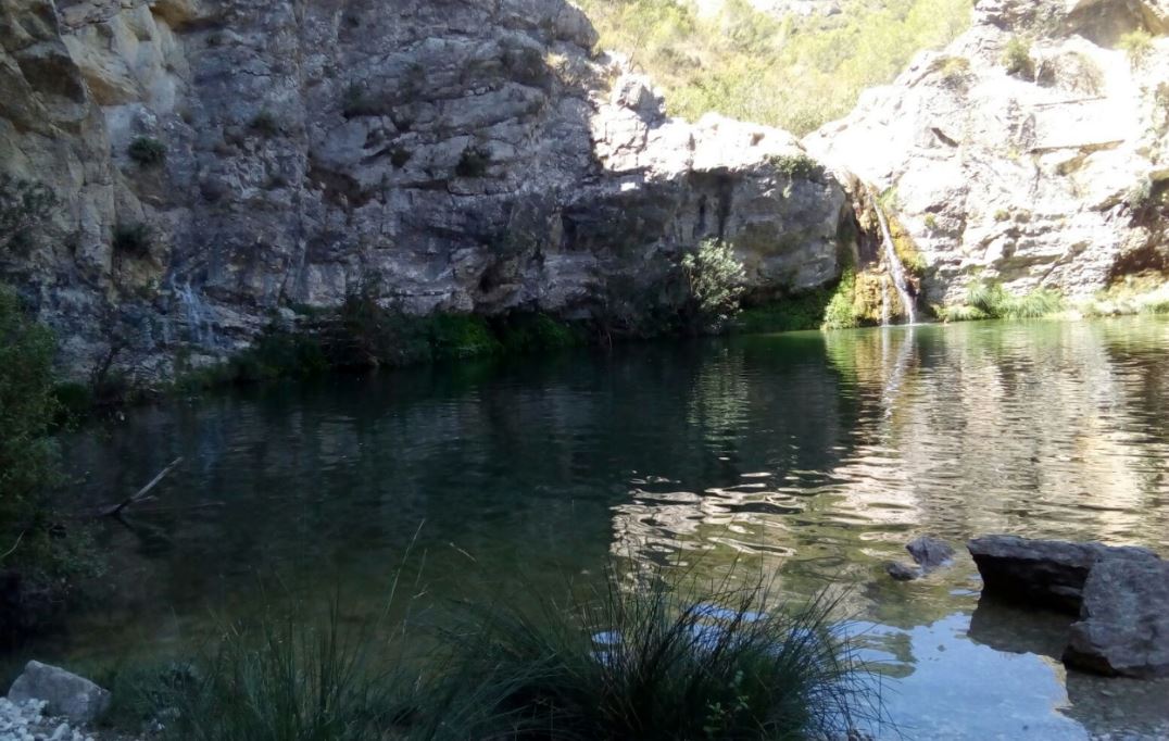 Gorg del Salt un lugar donde bañarse este verano - ⛰️ 💦