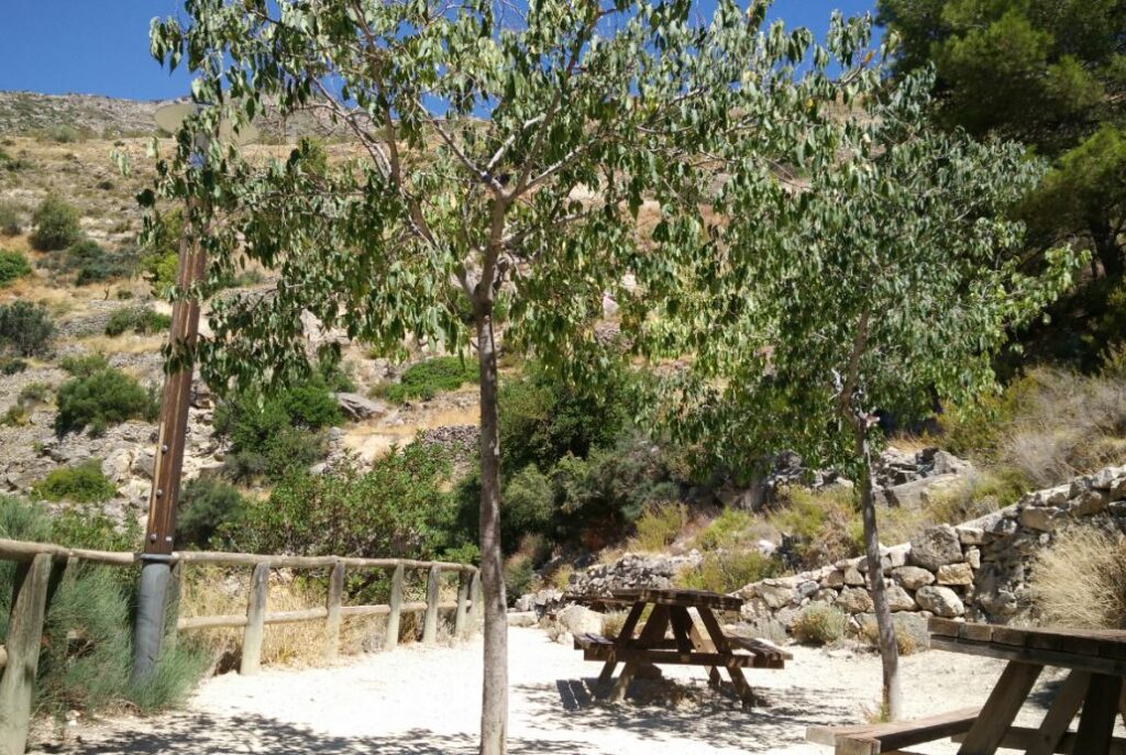 Área recreativa de Font Major, una zona baño ideal 💦 ⛺